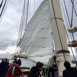 Next Level Sailing - 17 Photos & 19 Reviews - Boat Charters - Little ...