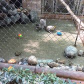 Applegate Park Zoo - 101 Photos & 30 Reviews - Zoos - 1045 W 25th St ...
