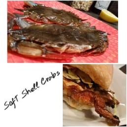 Locals Seafood - Seafood Markets - 1209 Farmers Market Dr, Raleigh, NC ...