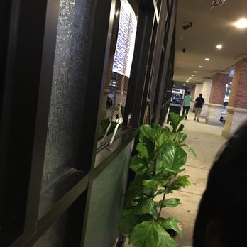 Tiger Den - 1328 Photos & 902 Reviews - Ramen - 9889 Bellaire Blvd ...