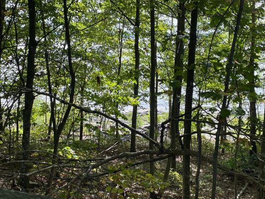 Tafton, PA Map & Directions - MapQuest