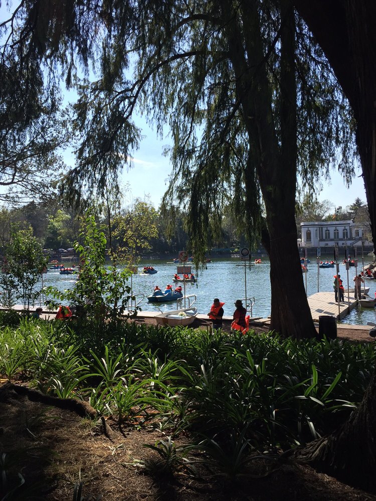 Lago de Chapultepec - 17 Photos & 13 Reviews - Lakes - Av. Reforma S/N ...