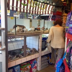 Dierenhandel Exotica - Pet Stores - van Woustraat 22, De Pijp ...