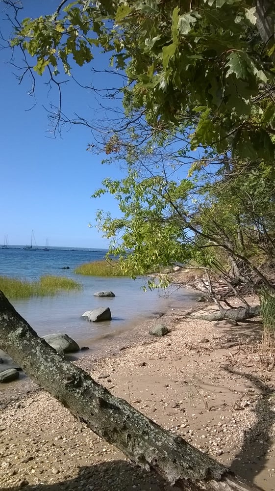 Garvies Point Museum & Preserve - 11 Photos - Museums - 50 Barry Dr ...