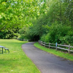 Cottage Lake Park - 29 Photos - Parks - 18831 NE Woodinville Duvall Rd ...