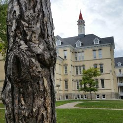 The Village at Grand Traverse Commons - Check Availability - 91 Photos ...