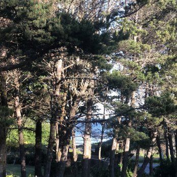 Honey Bear by the Sea RV Resort and Campground - 77 Photos & 47 Reviews ...
