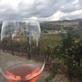 Oak Mountain Winery - 537 Photos & 369 Reviews - Wineries - 36522 Via ...