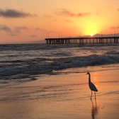 Venice Beach Boardwalk - 2525 Photos & 795 Reviews - Beaches - 1800 ...