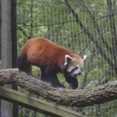 Cleveland Metroparks Zoo - 476 Photos & 168 Reviews - Zoos - 3900 ...