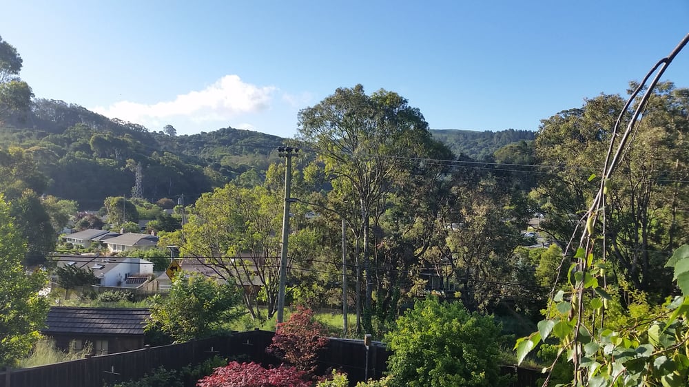 Mill Valley - 11 Photos & 17 Reviews - Local Flavor - Mill Valley, CA ...