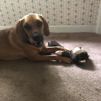 Kay’s Animal Shelter - 43 Photos & 51 Reviews - Animal Shelters - 2705 ...