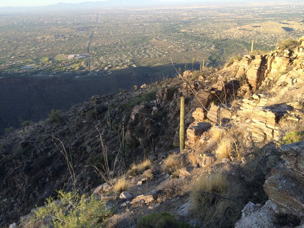 Blackett’s Ridge - 11 Reviews - Hiking - Blackett's Ridge, Catalina ...