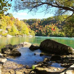Niagara Glen Nature Reserve - 65 Photos & 19 Reviews - Parks - 3050 ...