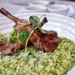 Nodo Restaurant - 22 Photos & 25 Reviews - Italian - 794 Saint Clair ...