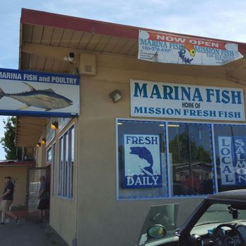 Marina Fish - 2019 All You Need to Know BEFORE You Go (with Photos ...