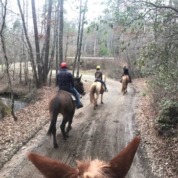 Blue Ridge Mountain Trail Rides - 54 Photos - Horseback Riding - 319 ...