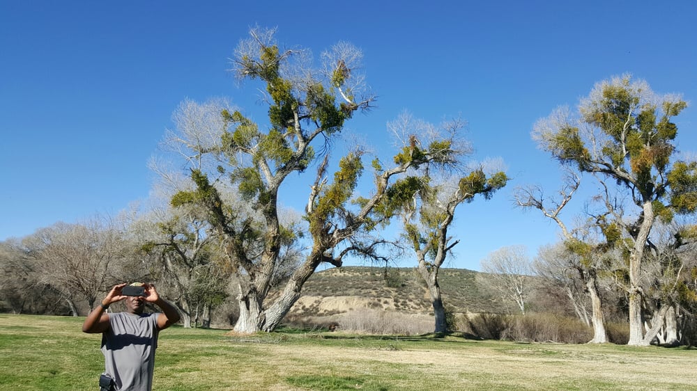 Vail Lake Resort - 110 Photos & 122 Reviews - Campgrounds - 38000 Hwy ...