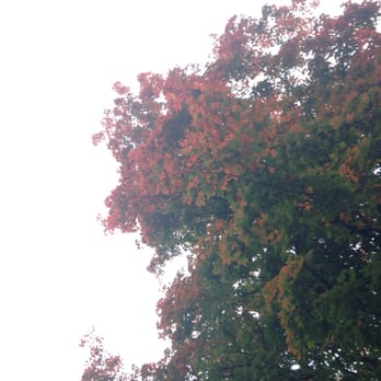 Washington Park Arboretum - 528 Photos & 194 Reviews - Parks - 2300 ...