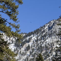 Crystal Lake - 139 Photos & 26 Reviews - Parks - San Gabriel Canyon ...