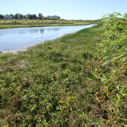 Lake Kyle Park - 16 Photos - Parks - 700 Lehman Rd, Kyle, TX - Phone ...