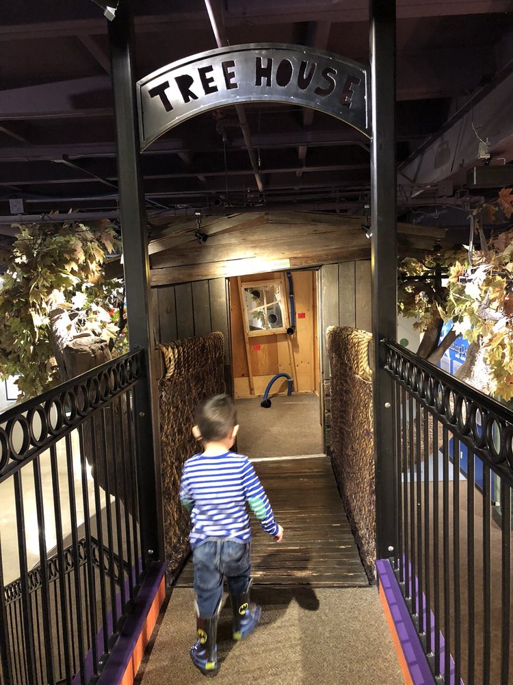Imagine Children’s Museum - 135 Photos & 161 Reviews - Children's ...
