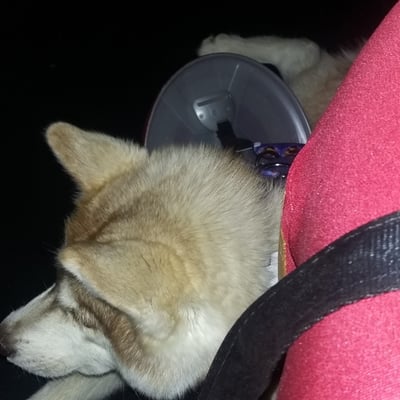 Fyffe, AL Map & Directions - MapQuest