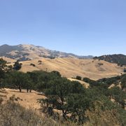 Diablo Foothills Regional Park - 139 Photos & 38 Reviews - Parks - 1700 ...