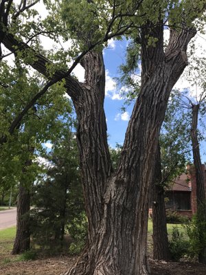 Lewis, KS Map & Directions - MapQuest