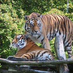 Tierpark Hellabrunn - 735 Photos & 154 Reviews - Zoos - Tierparkstr. 30 ...