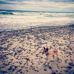 Rexhame Beach - 26 Photos & 33 Reviews - Beaches - Standish St ...