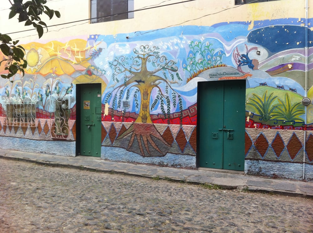 Colonia Guadalupe - Street Art - Colonia Guadalupe, San Miguel de ...