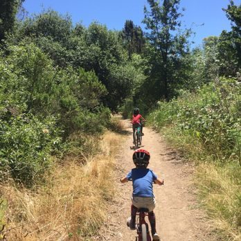 Trail House - 55 Photos & 68 Reviews - Coffee & Tea - 4036 Montgomery ...