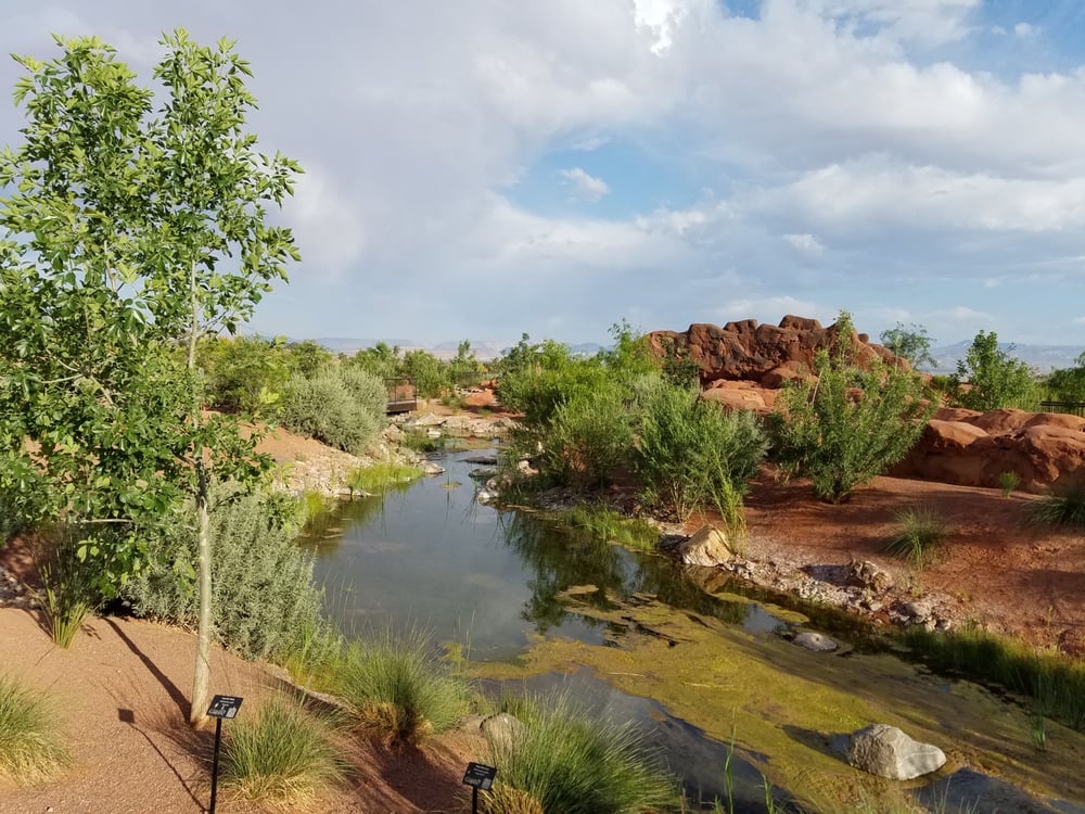 Red Hills Desert Garden - 21 Photos - Parks - 469 Red Hills Pkwy, St ...