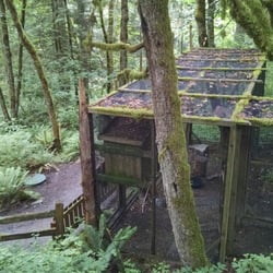 Audubon Society of Portland Wildlife Care Center - 13 Photos - Animal ...