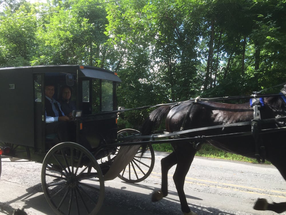 Red Run Campground - Campgrounds - 877 Martin Church Rd, newholland, PA ...