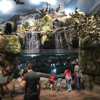 Bass Pro Shops - 521 Photos & 221 Reviews - Guns & Ammo - 5472 ...