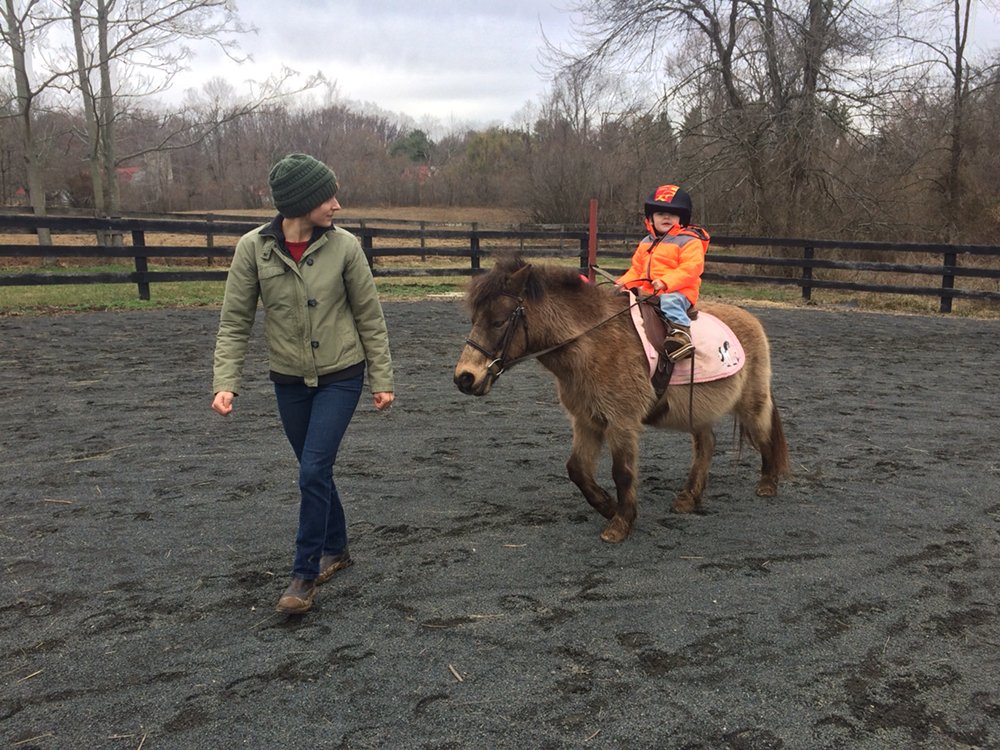 Thousand Hills Riding Stable - 26 Photos - Horseback Riding - 4098 ...