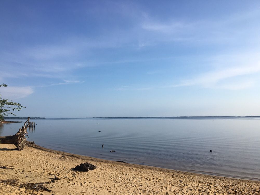 Neuse River Recreation - 16 Photos - Parks - Flanners Beach Rd, New ...