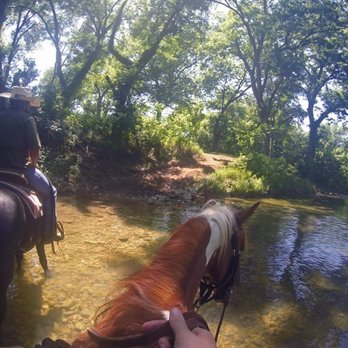 Texas Trail Rides - 66 Photos & 53 Reviews - Horseback Riding - 8601 ...