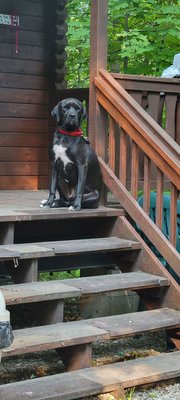 Branchville, NJ Map & Directions - MapQuest