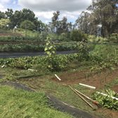 O’o Farms - 280 Photos & 119 Reviews - Food Tours - 651 Waipoli Rd ...