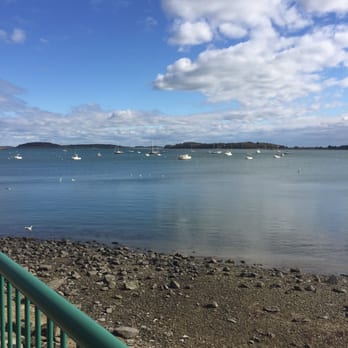 Castle Island Beach - 119 Photos & 105 Reviews - Beaches - 2010 William ...