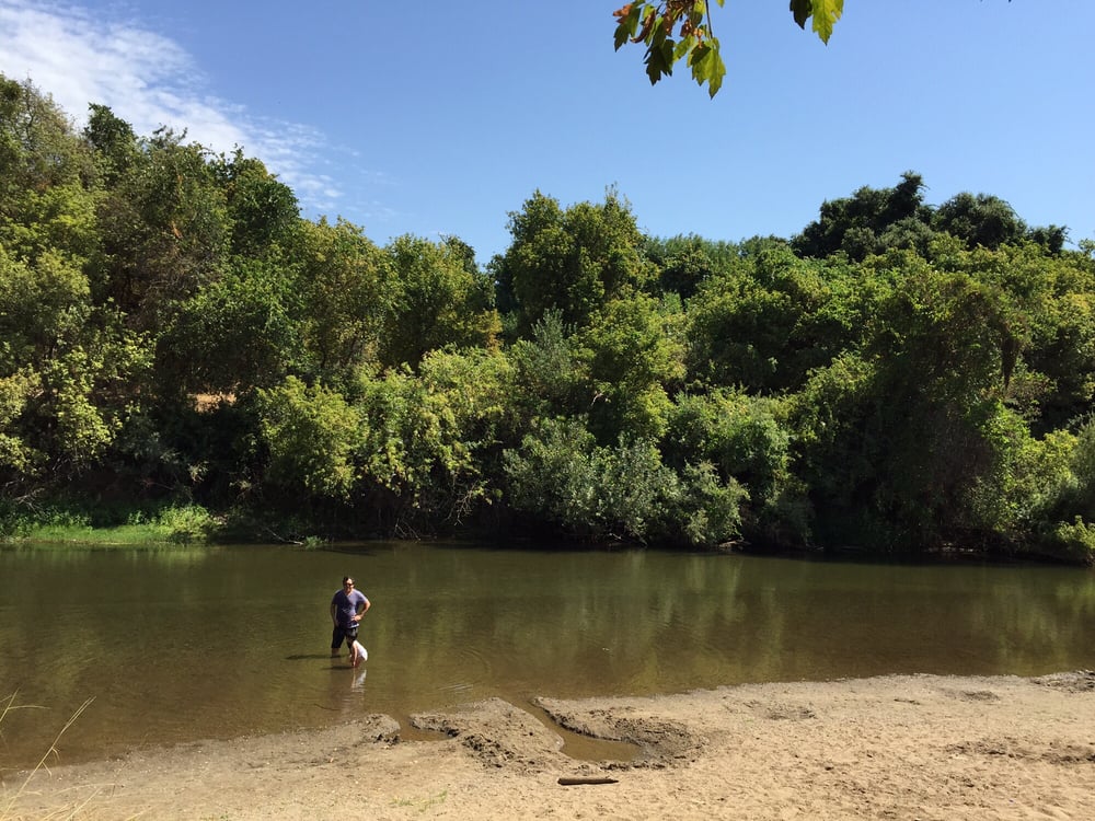 Caswell Memorial State Park - 69 Photos & 63 Reviews - Parks - 28000 S ...