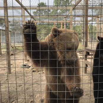 Single Vision Sanctuary - 15 Photos - Zoos - 8185 Forest Hills Rd ...