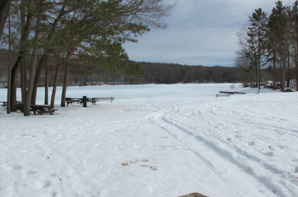 Douglas State Forest - 28 Photos & 11 Reviews - Hiking - 107 Wallum ...