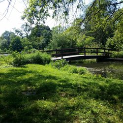 Mill Pond - Valley Stream, NY - 2019 All You Need to Know BEFORE You Go ...