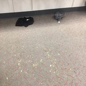 Target - 29 Photos & 42 Reviews - Department Stores - 24890 N Lake ...