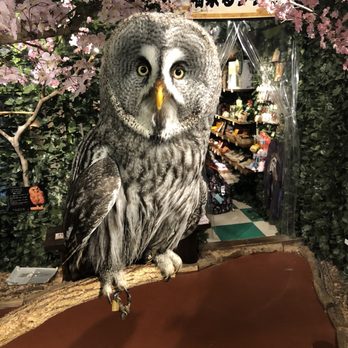 Kyoto Owl’s Forest Zoo - 87 Photos & 14 Reviews - Zoos - Kyoto, 京都府 ...