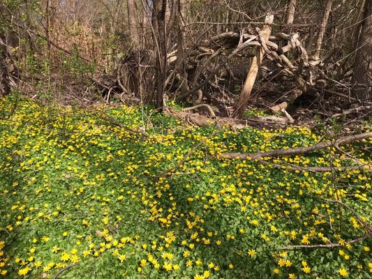 Hathorne, MA Map & Directions - MapQuest